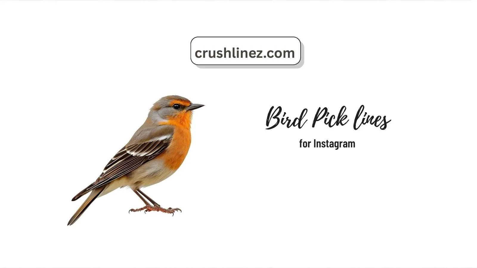 520+ Cute, Funny& Flirty Bird Pick Up Lines for Instagram For 2025